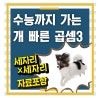 수능까지 가는 곱셈 방식③세자리 곱하기 세자리 자료포함 네이버 블로그